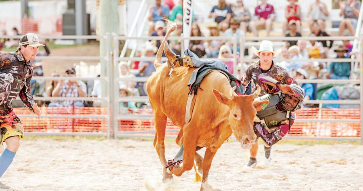 Southern Cape cleans up at Weipa Rodeo | Cape York Weekly