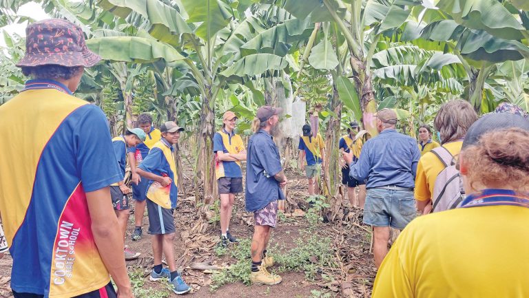 Students given a taste of farming | Cape York Weekly