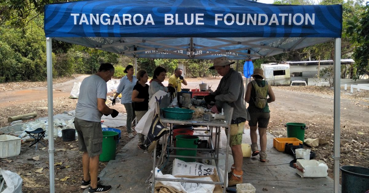 "If all you ever do is clean, that's all you'll ever do": Tangaroa Blue ...