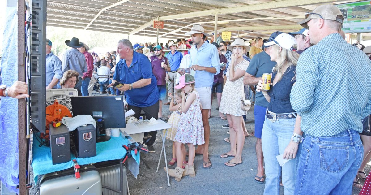 Thoroughbred talent set to shine on Laura track | Cape York Weekly