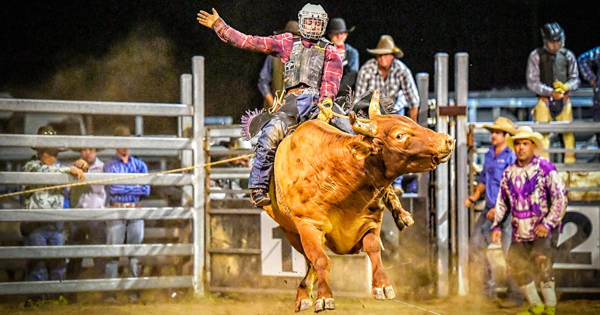 Rodeo, races and show set to thrill NPA audience | Cape York Weekly