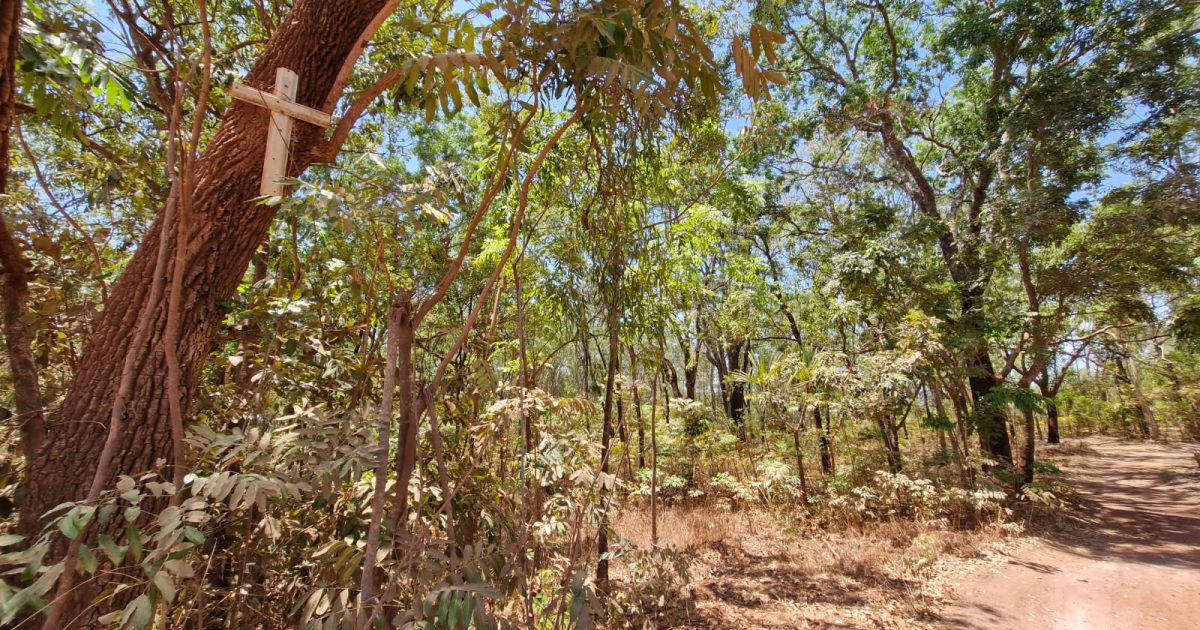 Plan to scrap Weipa pet cemetery has community barking mad | Cape York ...