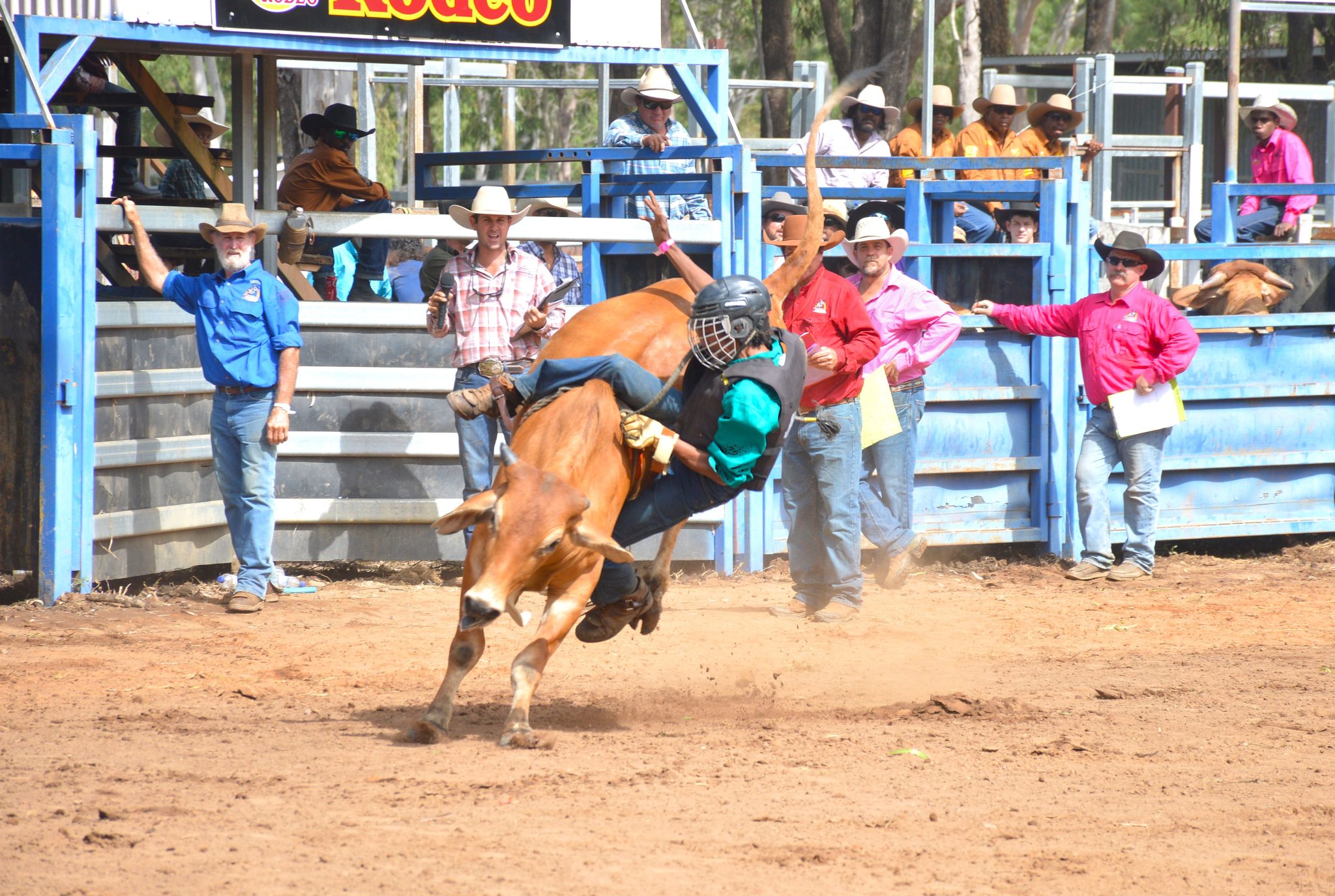 Competitors ready to saddle up for Laura campdraft glory | Cape York Weekly